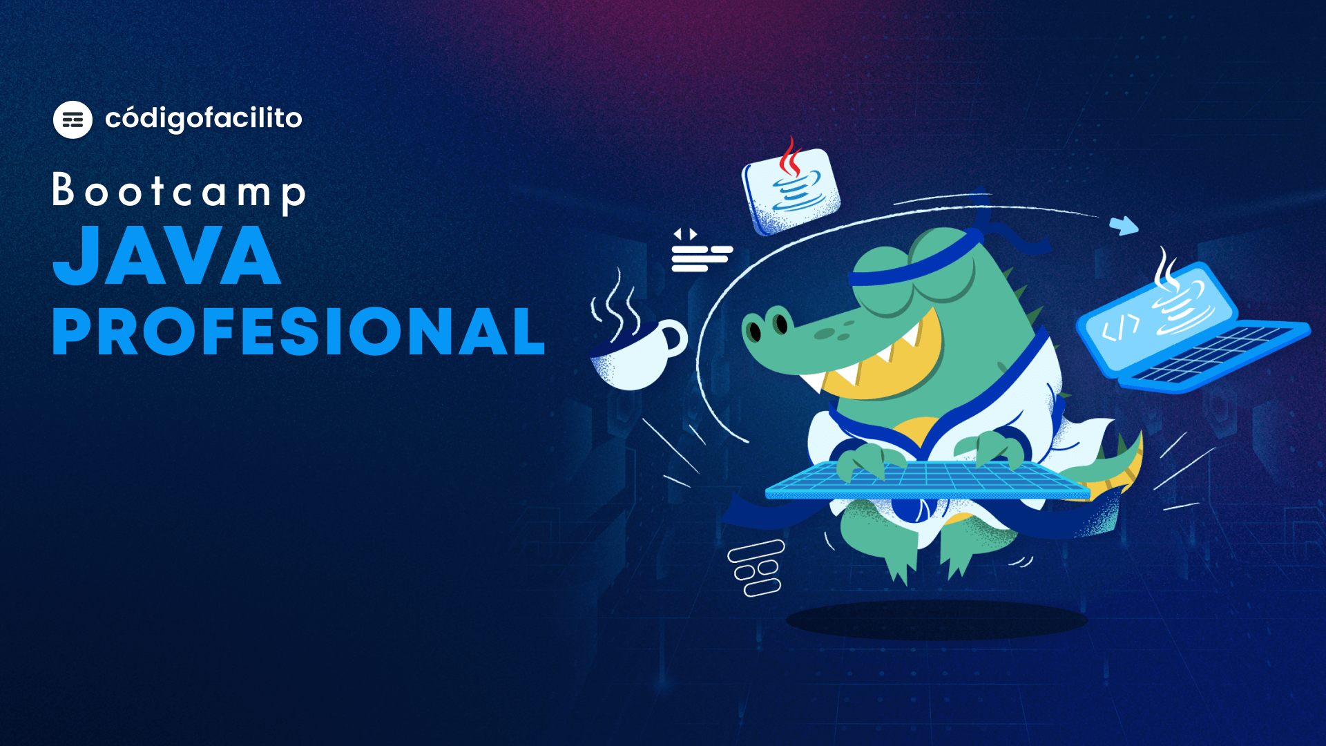 Bootcamp De Java Profesional 